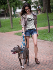 How to Find a Dog Sitter in Dallas - We Are Dallas Fort Worth