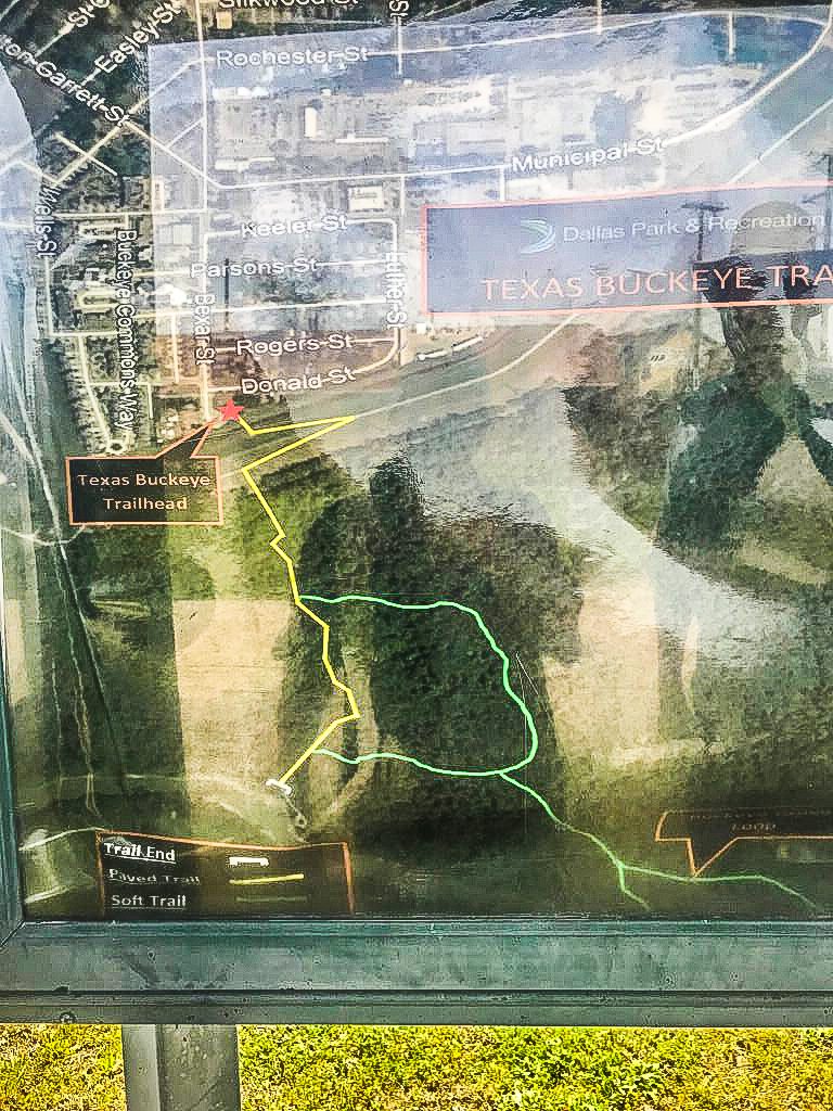 Where to Hike in Dallas: The Texas Buckeye Trail - We Are Dallas Fort Worth